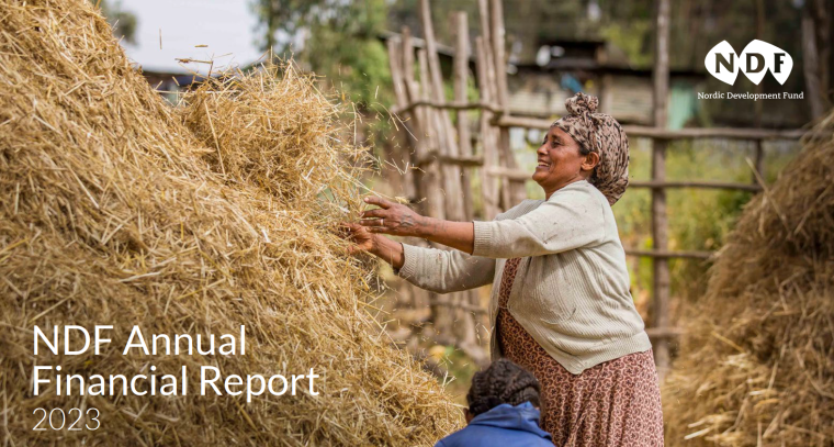 Home - Nordic Development Fund