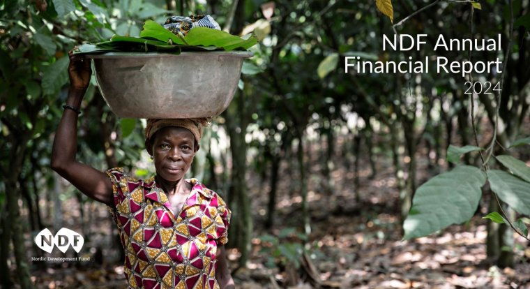 Home - Nordic Development Fund