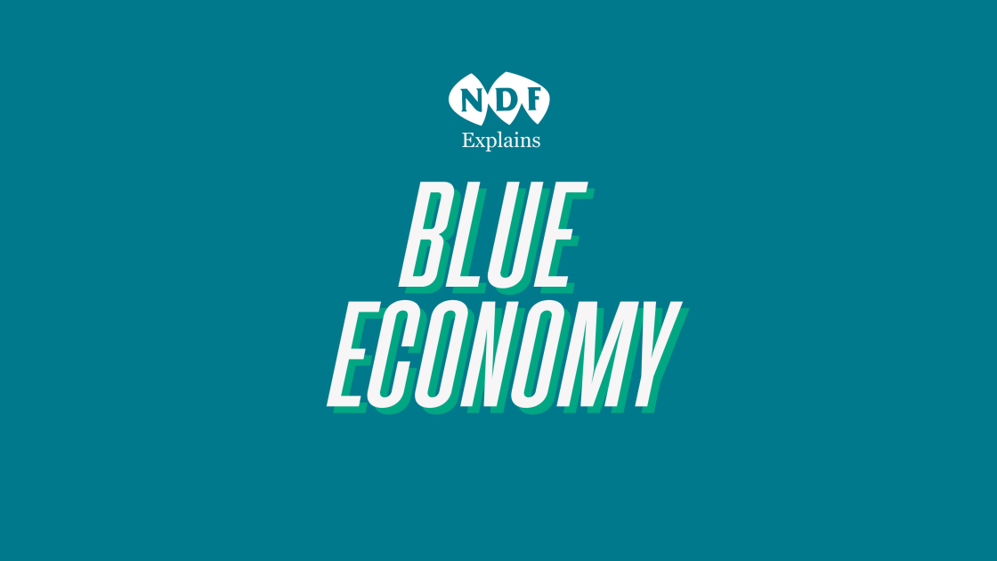 NDF Explains: What is blue economy? - Nordic Development Fund