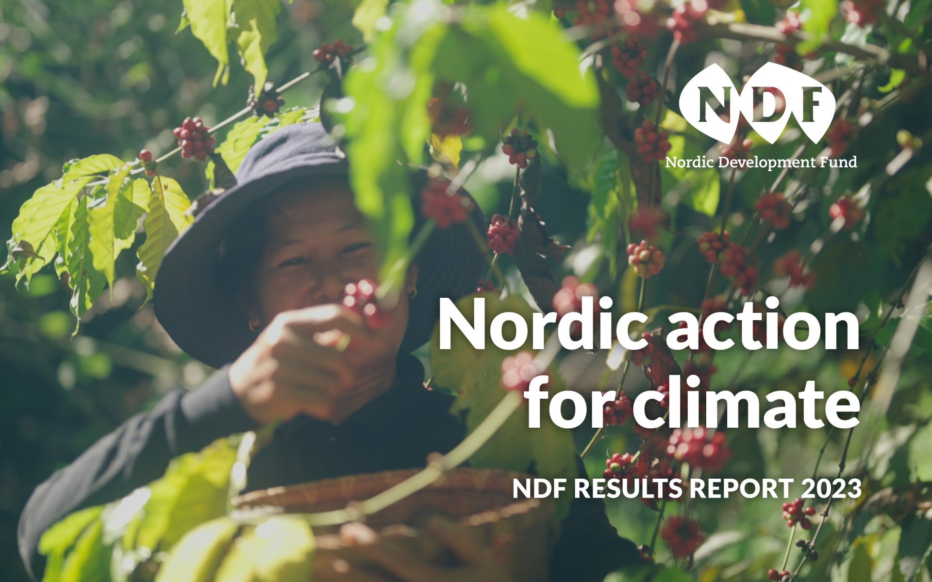 Home - Nordic Development Fund