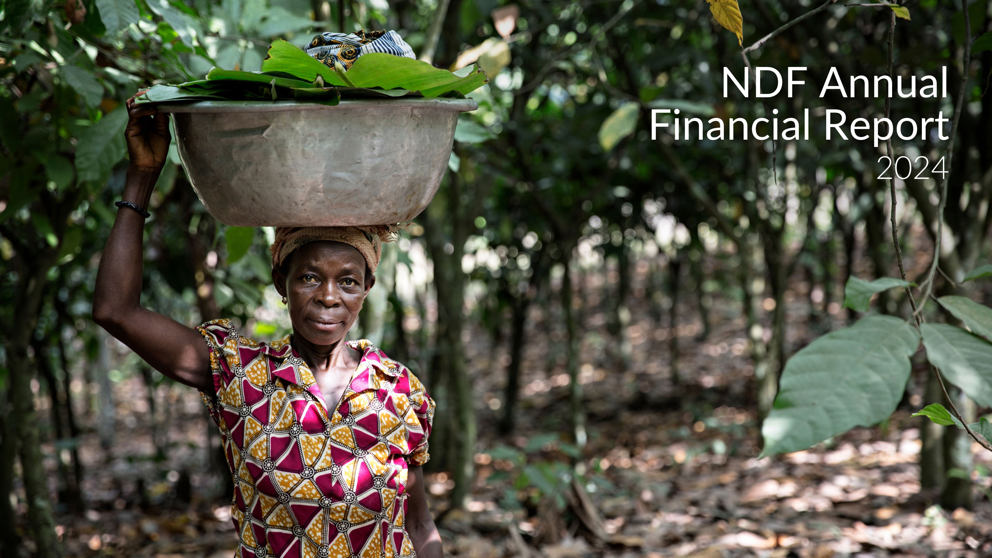 Home - Nordic Development Fund