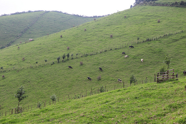 Leaving a legacy of ecosystem restoration and climate resilience in ...